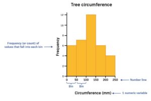 What are the 7 QC tools used in quality management?