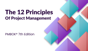 12 Principles of Project Management | PMBOK® 7th Edition