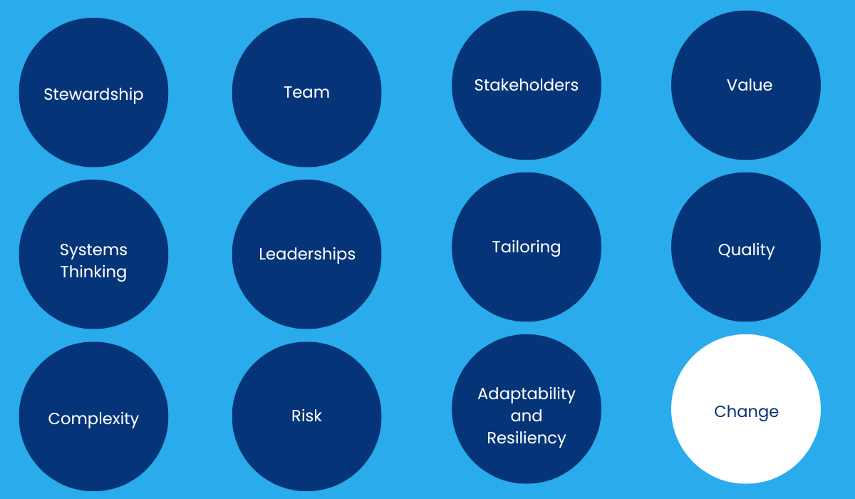 12 Principles of Project Management | PMBOK® 7th Edition