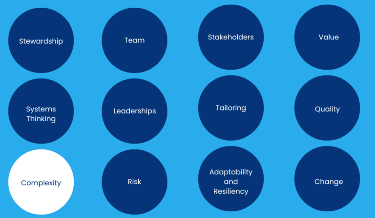 12 Principles of Project Management | PMBOK® 7th Edition