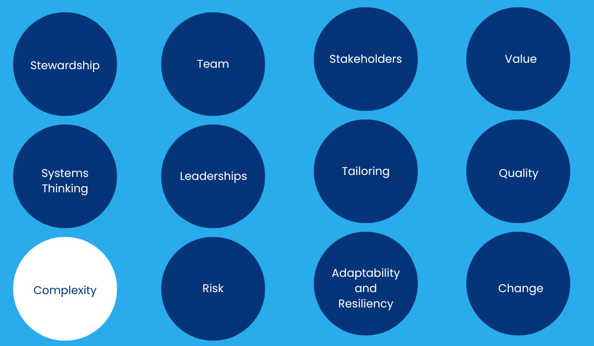 12 Principles of Project Management | PMBOK® 7th Edition