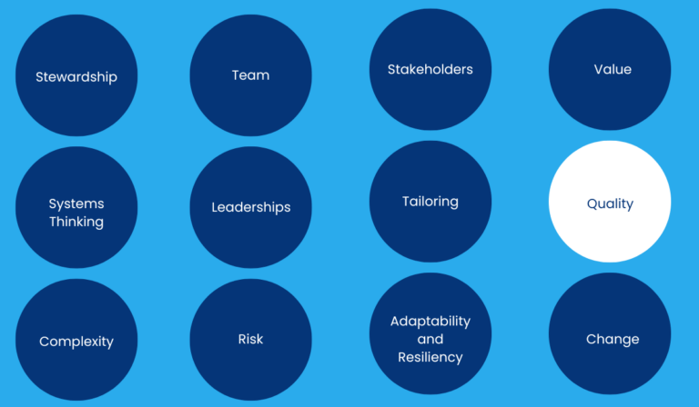 12 Principles of Project Management | PMBOK® 7th Edition