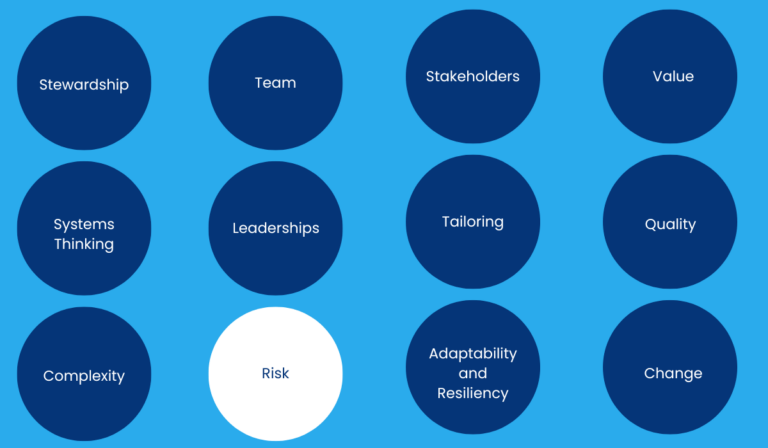 12 Principles of Project Management | PMBOK® 7th Edition