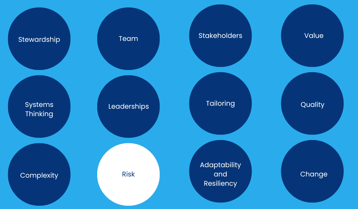 12 Principles of Project Management | PMBOK® 7th Edition