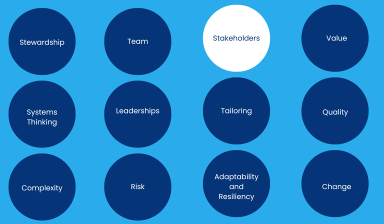 12 Principles of Project Management | PMBOK® 7th Edition