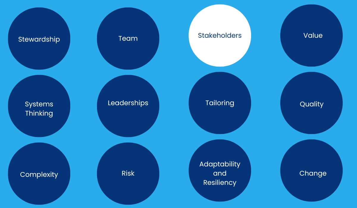 12 Principles of Project Management | PMBOK® 7th Edition