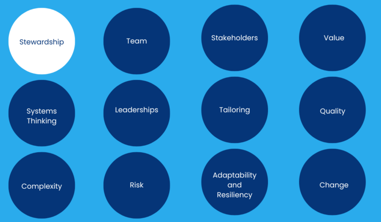 12 Principles of Project Management | PMBOK® 7th Edition