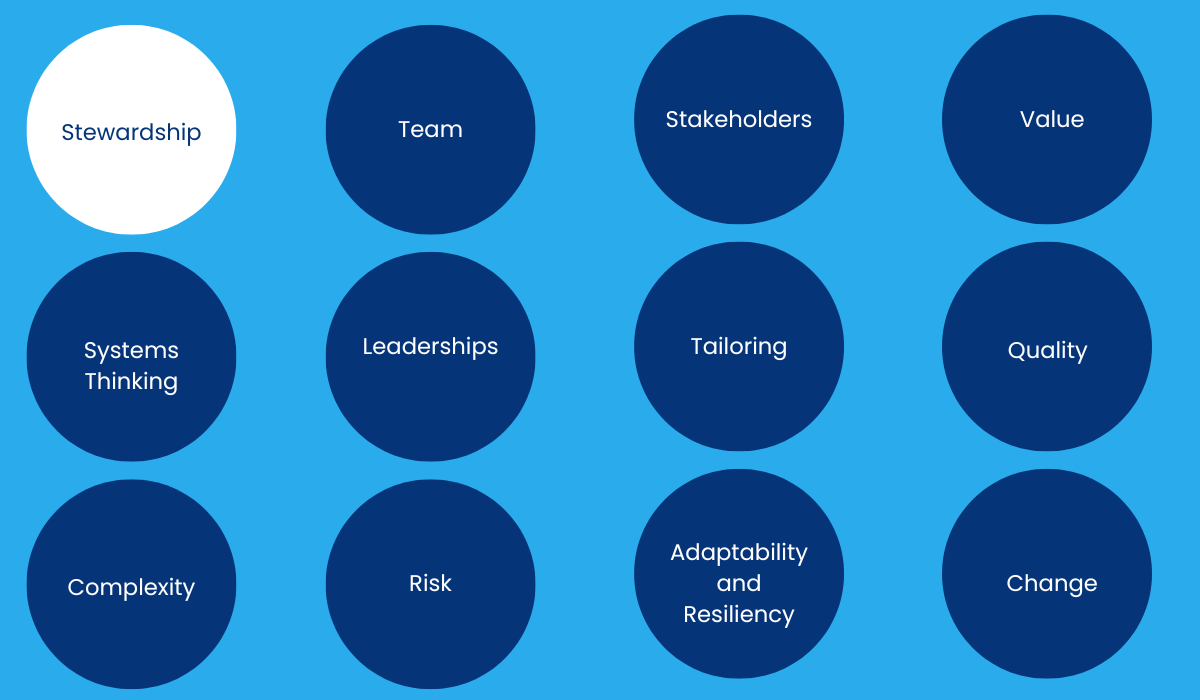 12 Principles of Project Management | PMBOK® 7th Edition