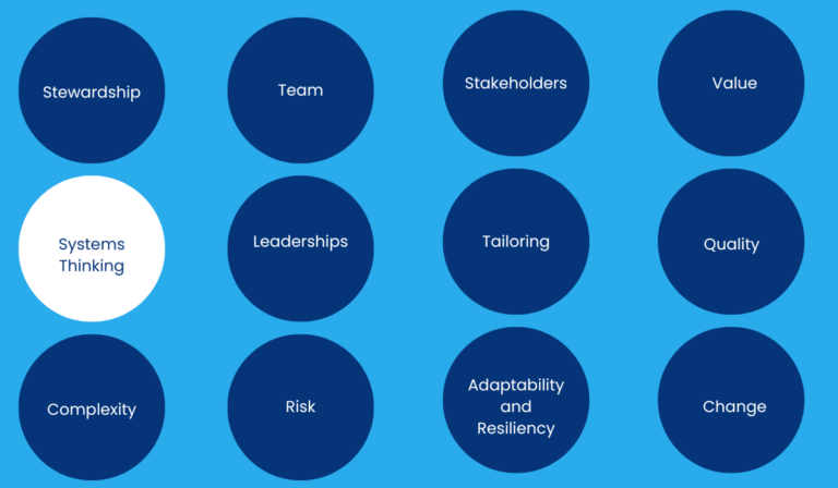 12 Principles of Project Management | PMBOK® 7th Edition