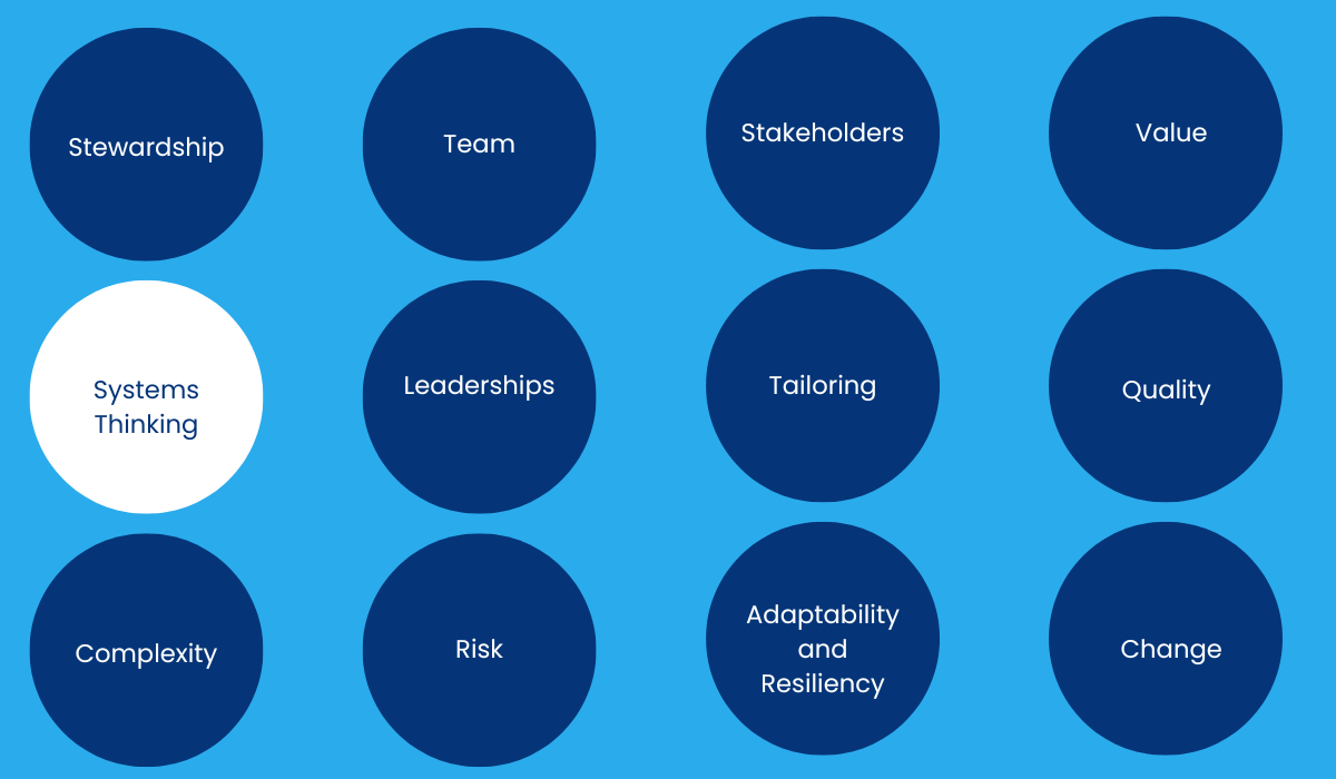 12 Principles of Project Management | PMBOK® 7th Edition