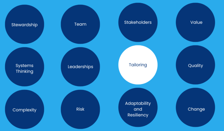 12 Principles of Project Management | PMBOK® 7th Edition