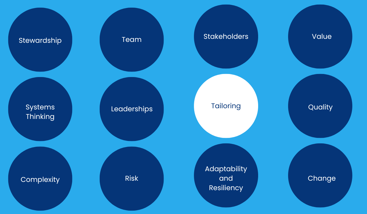 12 Principles of Project Management | PMBOK® 7th Edition