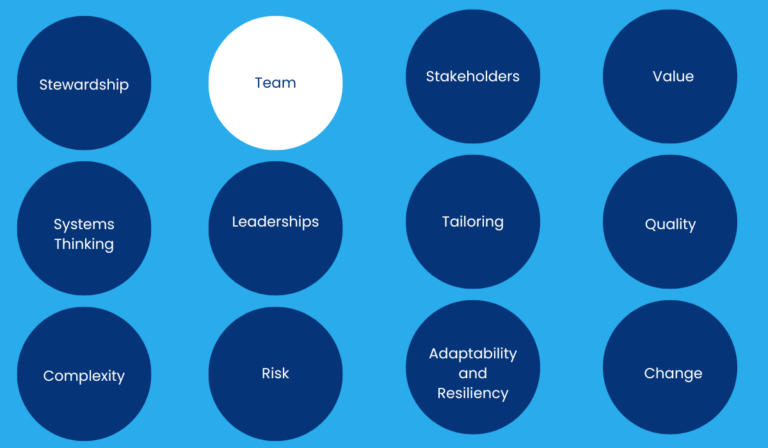 12 Principles of Project Management | PMBOK® 7th Edition