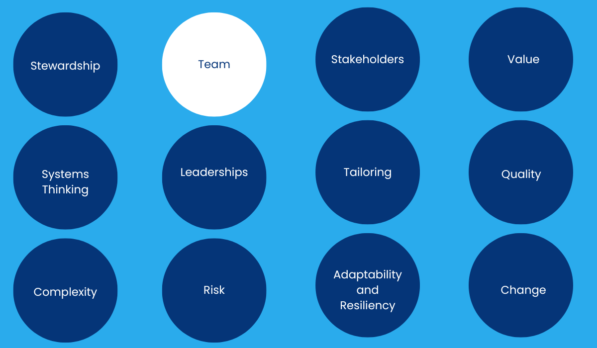 12 Principles of Project Management | PMBOK® 7th Edition