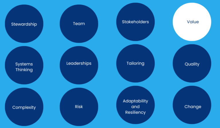 12 Principles of Project Management | PMBOK® 7th Edition