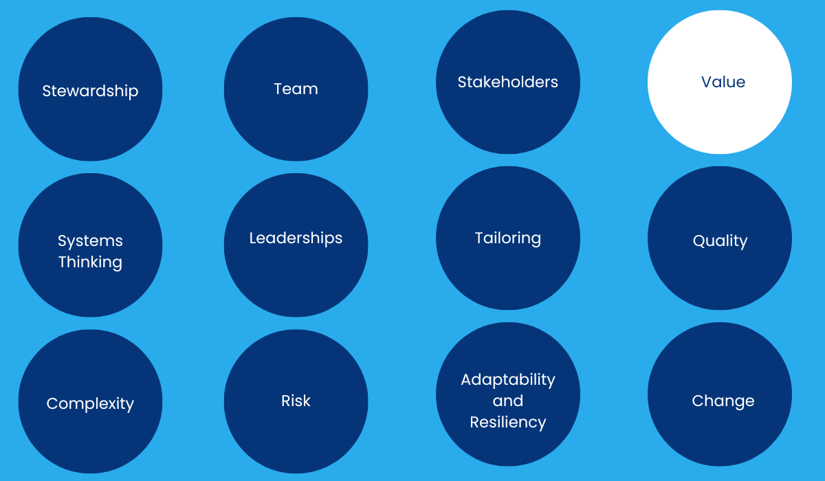 12 Principles of Project Management | PMBOK® 7th Edition